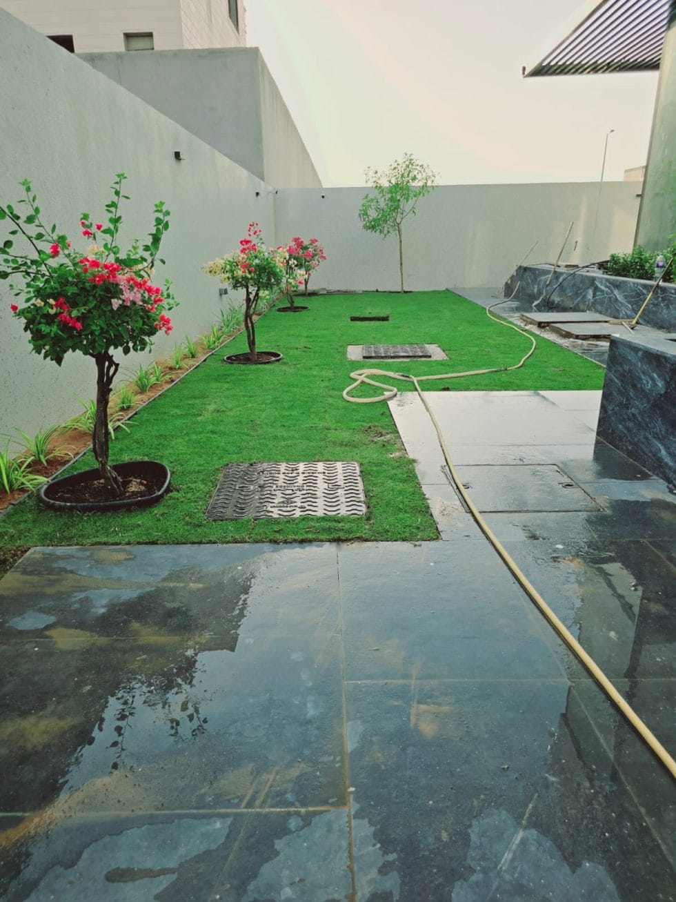 Bermuda vs Paspalum Grass UAE – 2025 Guide | GP Landscapers